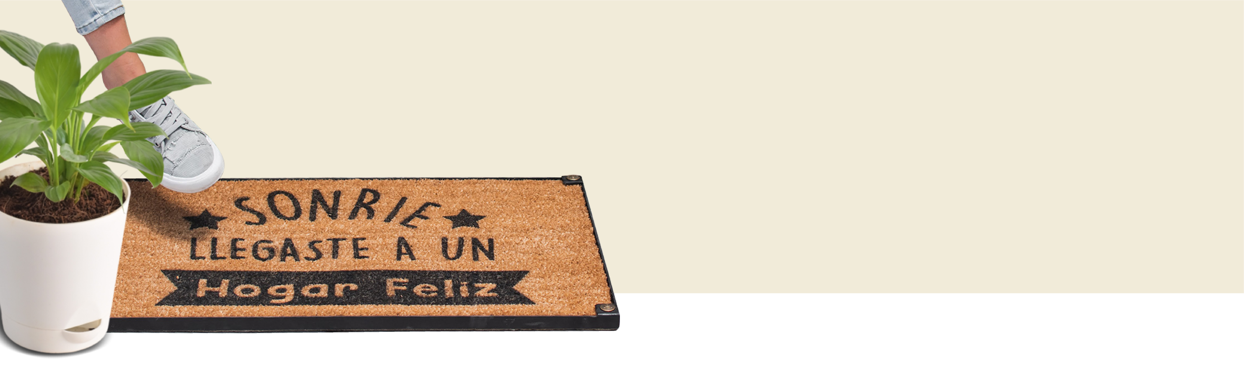 Diseña tu choapino – Choapinos Kokomat