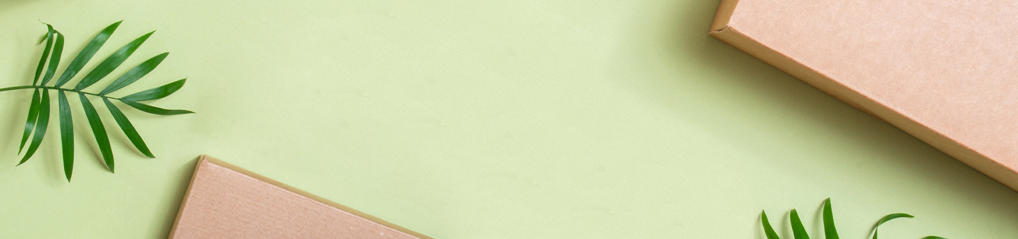 Venta Mayorista – Choapinos Kokomat